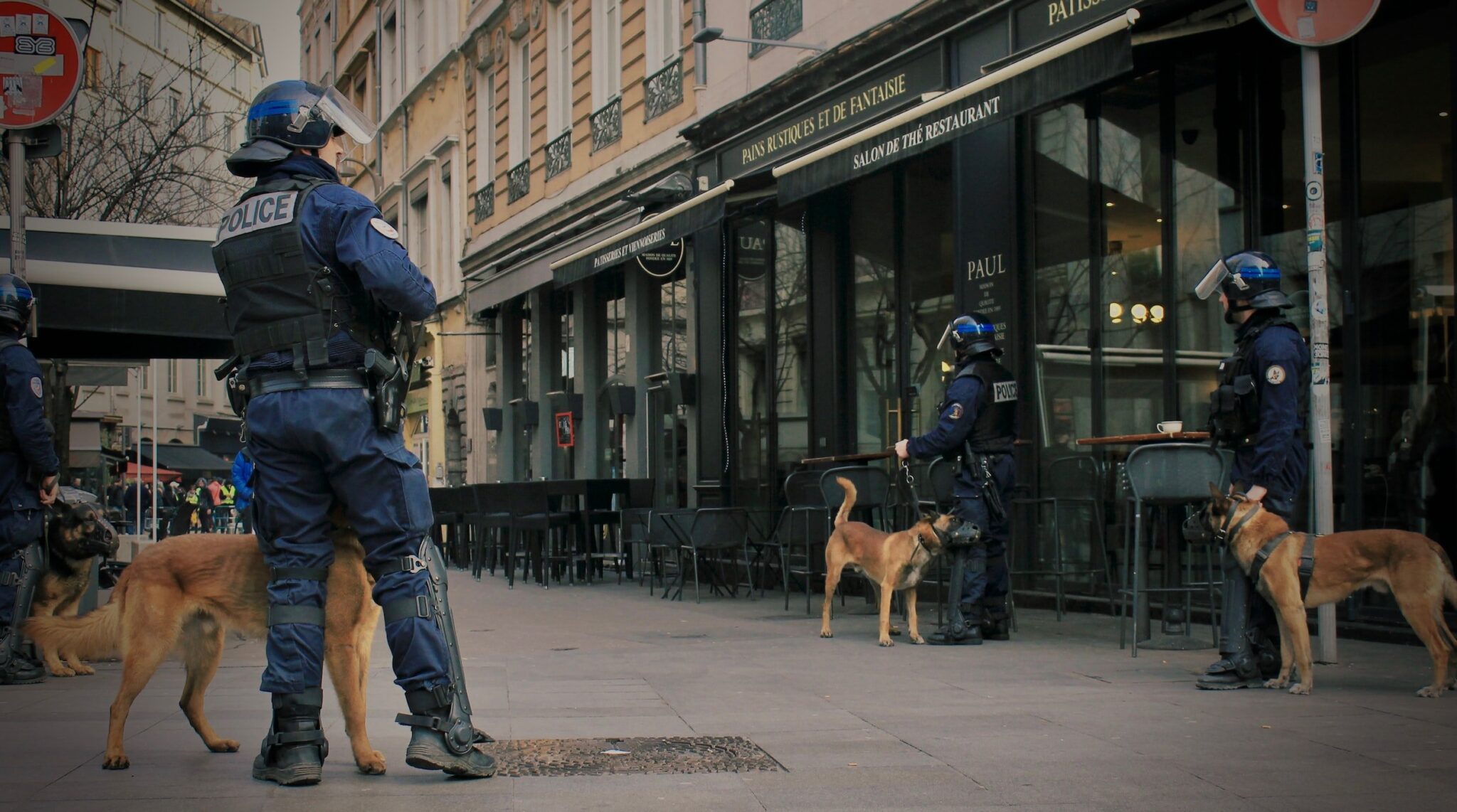 10 Different Types of Working Dogs and the Jobs They Do - Book of Dog